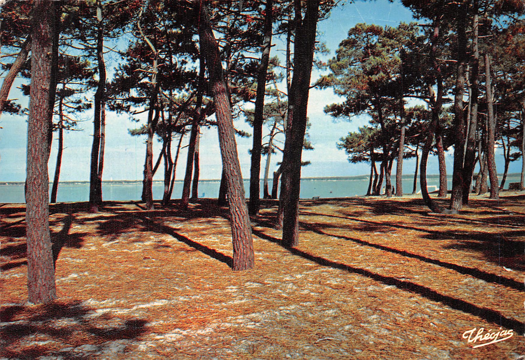 33-BASSIN D ARCACHON LE PYLA-N T1064-F/0115 | eBay