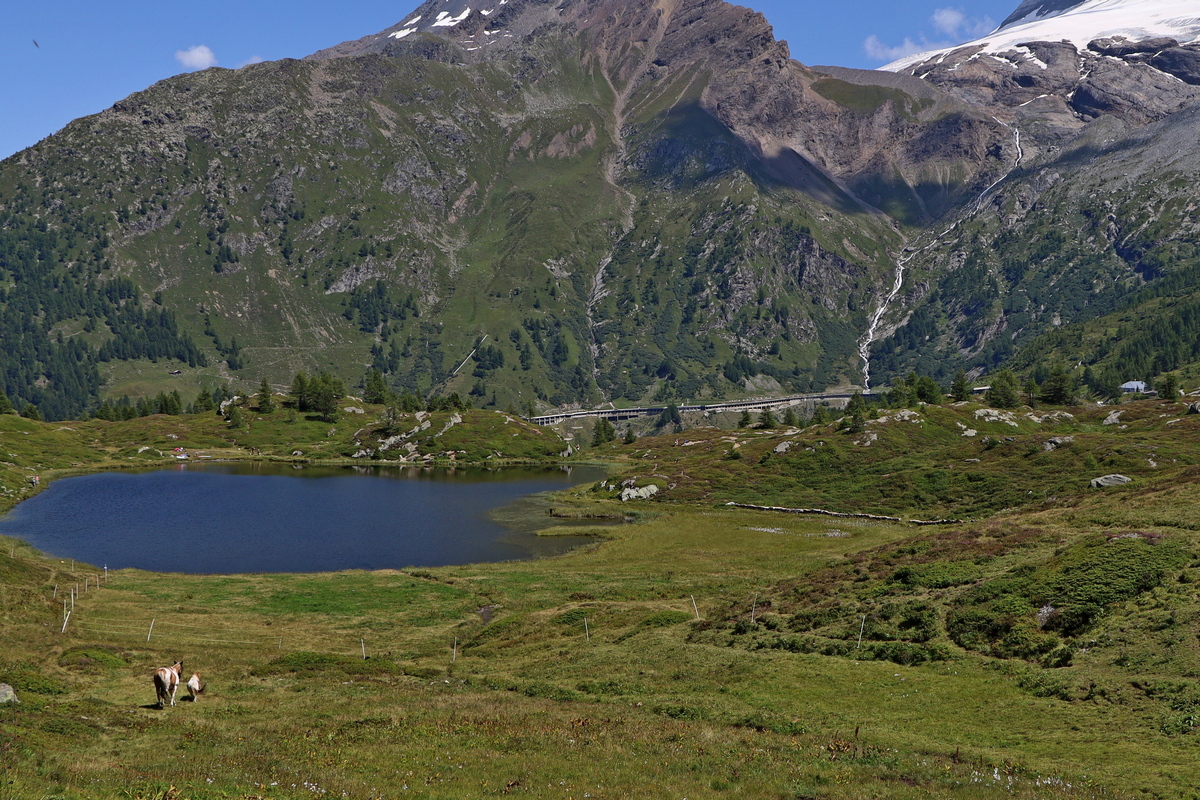 Simplonpas - woensdag 11-8-2021 - Nijsse.net