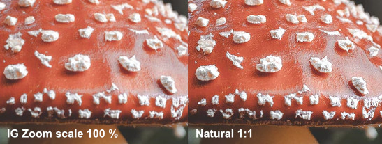 New upscaling/zoom behaviour causes blurry images (Panzoom) · Issue #8 · fancyapps/ui · GitHub