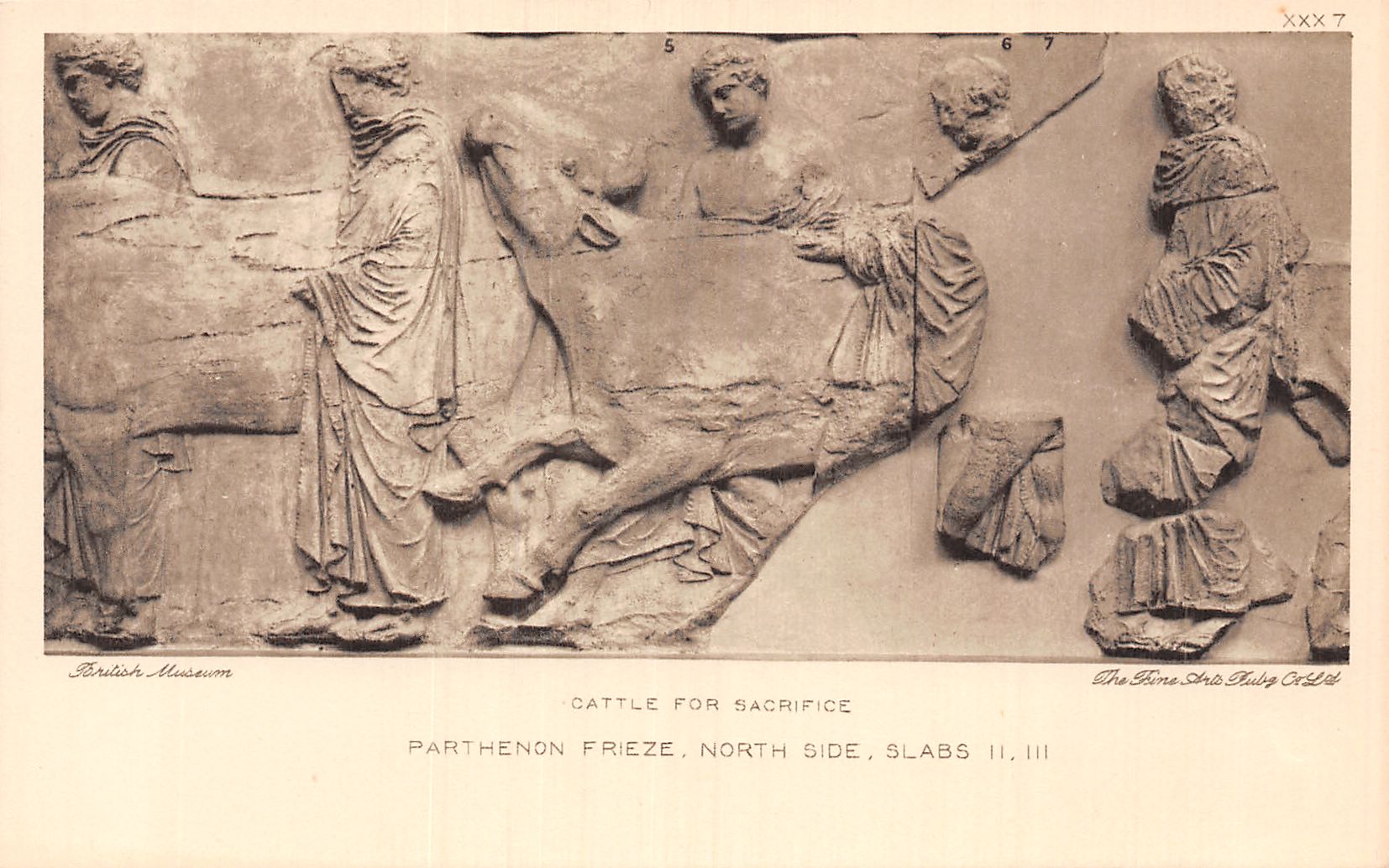 GRECE PARTHENON FRIEZE North Side Slabs EUR 5,90 - PicClick FR