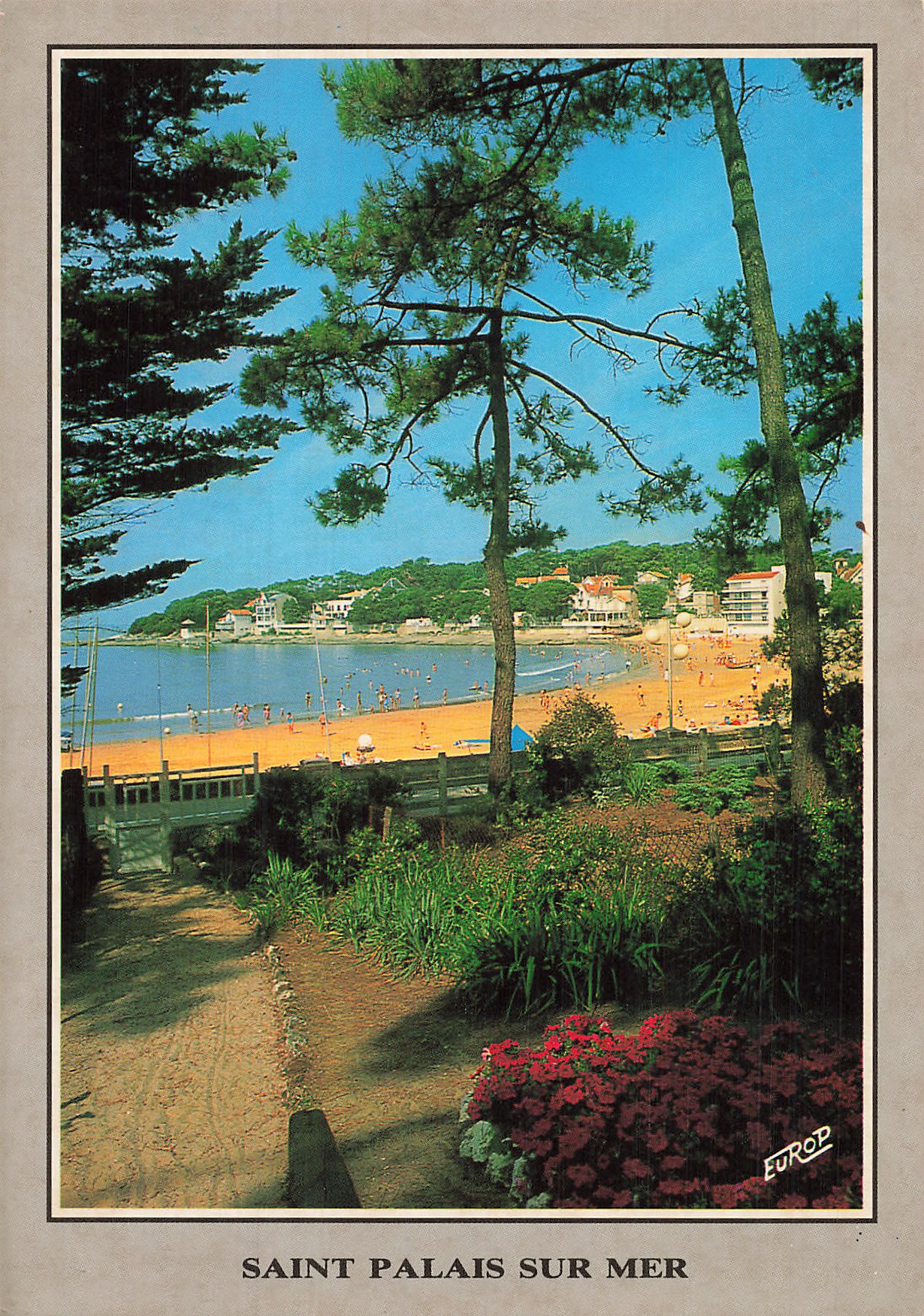 17 SAINT Palais Sur Mer La Grande Plage EUR 5,90 - PicClick FR